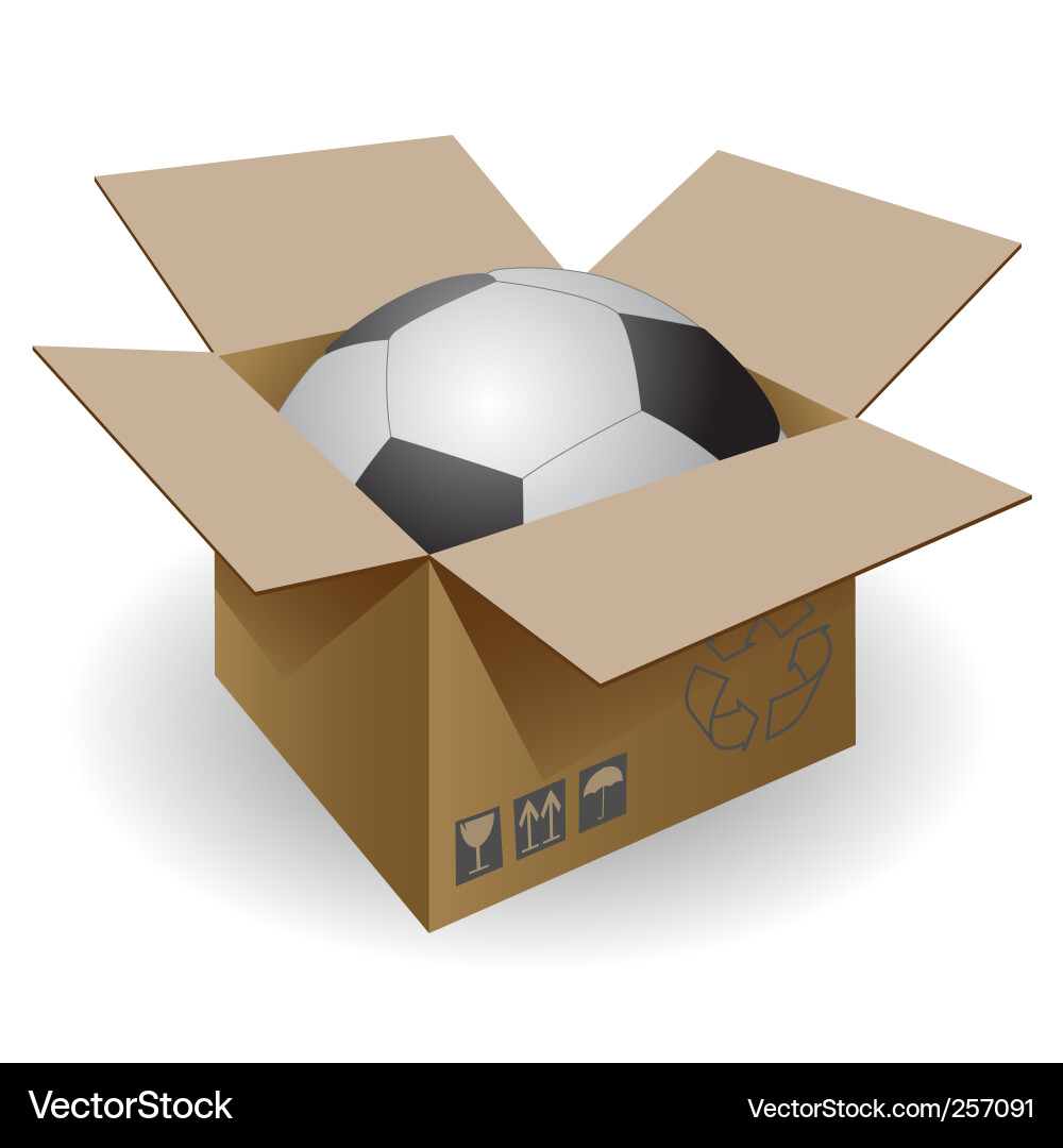Ball in the box Royalty Free Vector Image - VectorStock