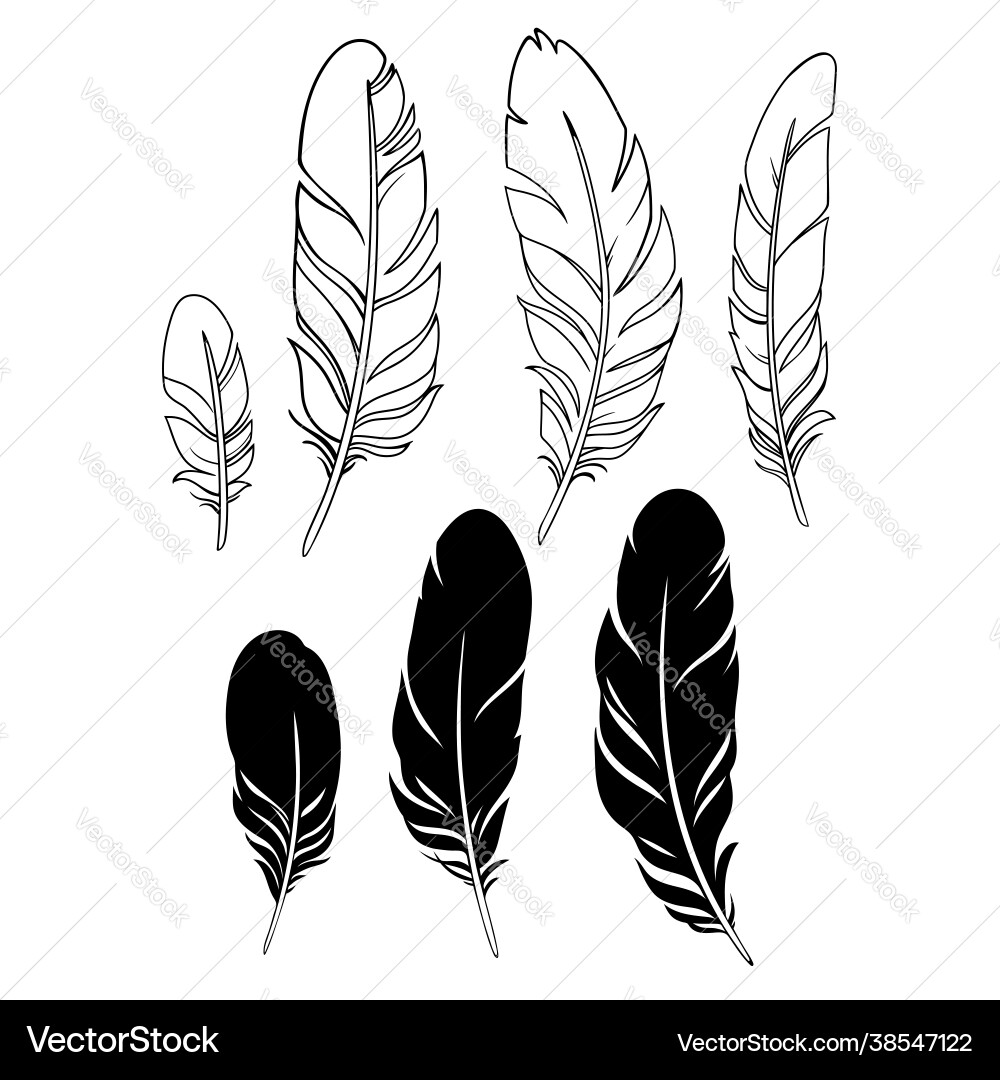 Set several patterns and silhouettes Royalty Free Vector