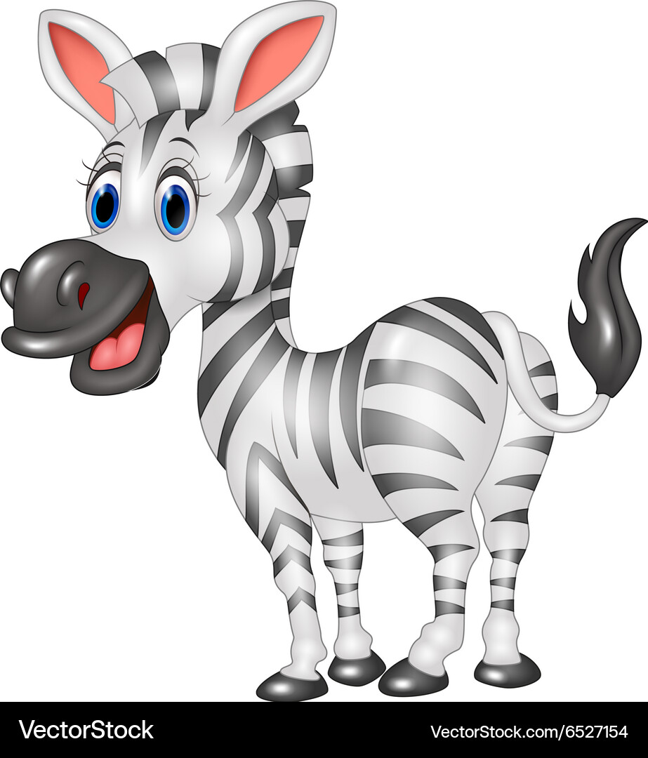 Cartoon cute zebra isolated on white background Vector Image