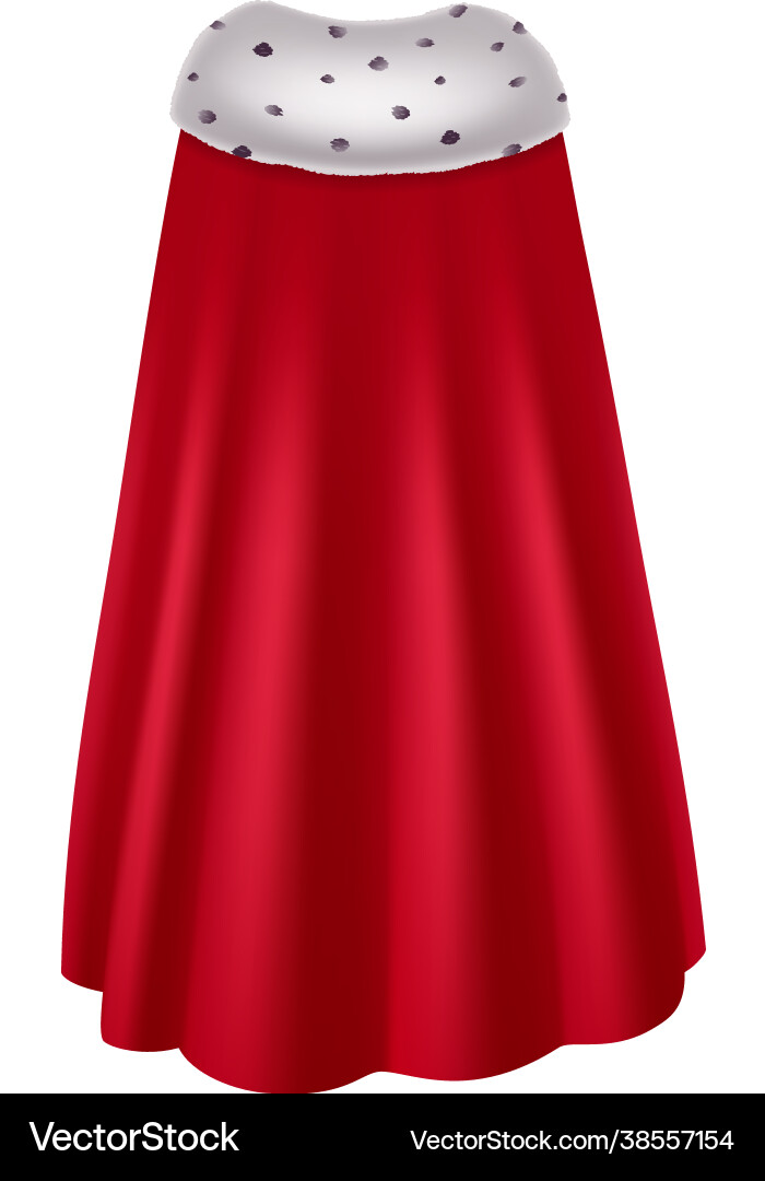 Realistic mantle Royalty Free Vector Image - VectorStock