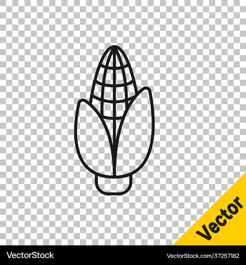 Black line corn icon isolated on transparent Vector Image