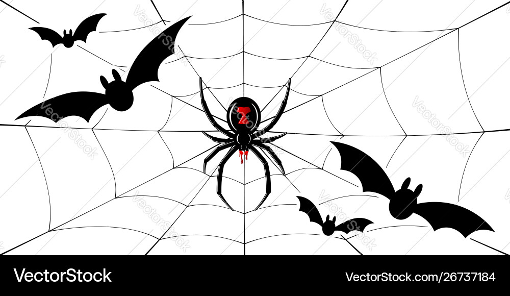 Spider black widow cobweb bats red black Vector Image
