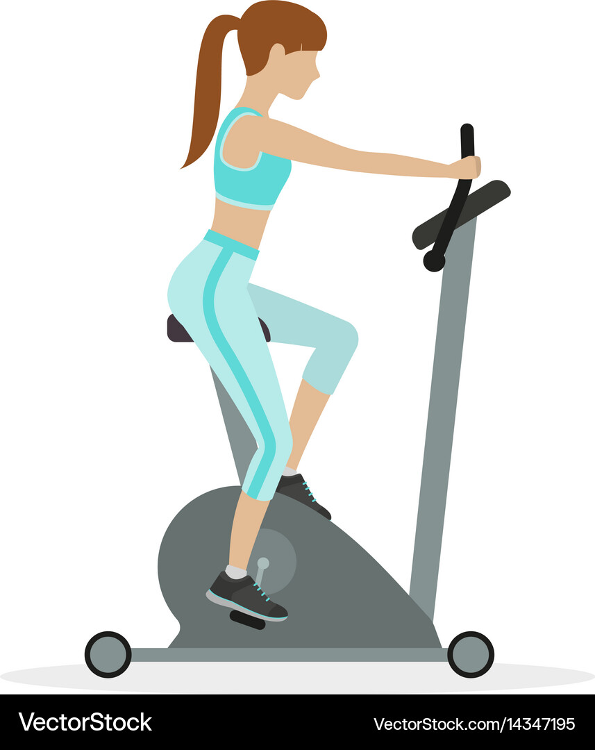 Exercise bike Royalty Free Vector Image - VectorStock