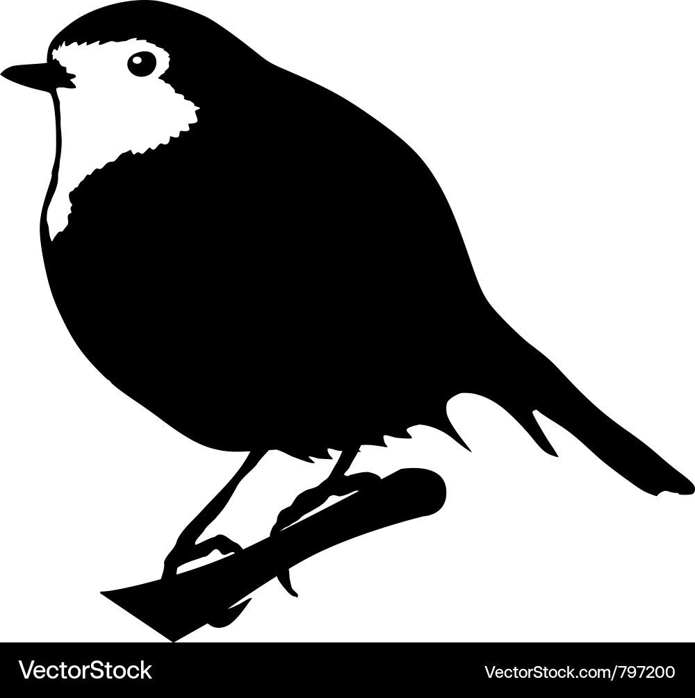 Silhouette of robin Royalty Free Vector Image - VectorStock