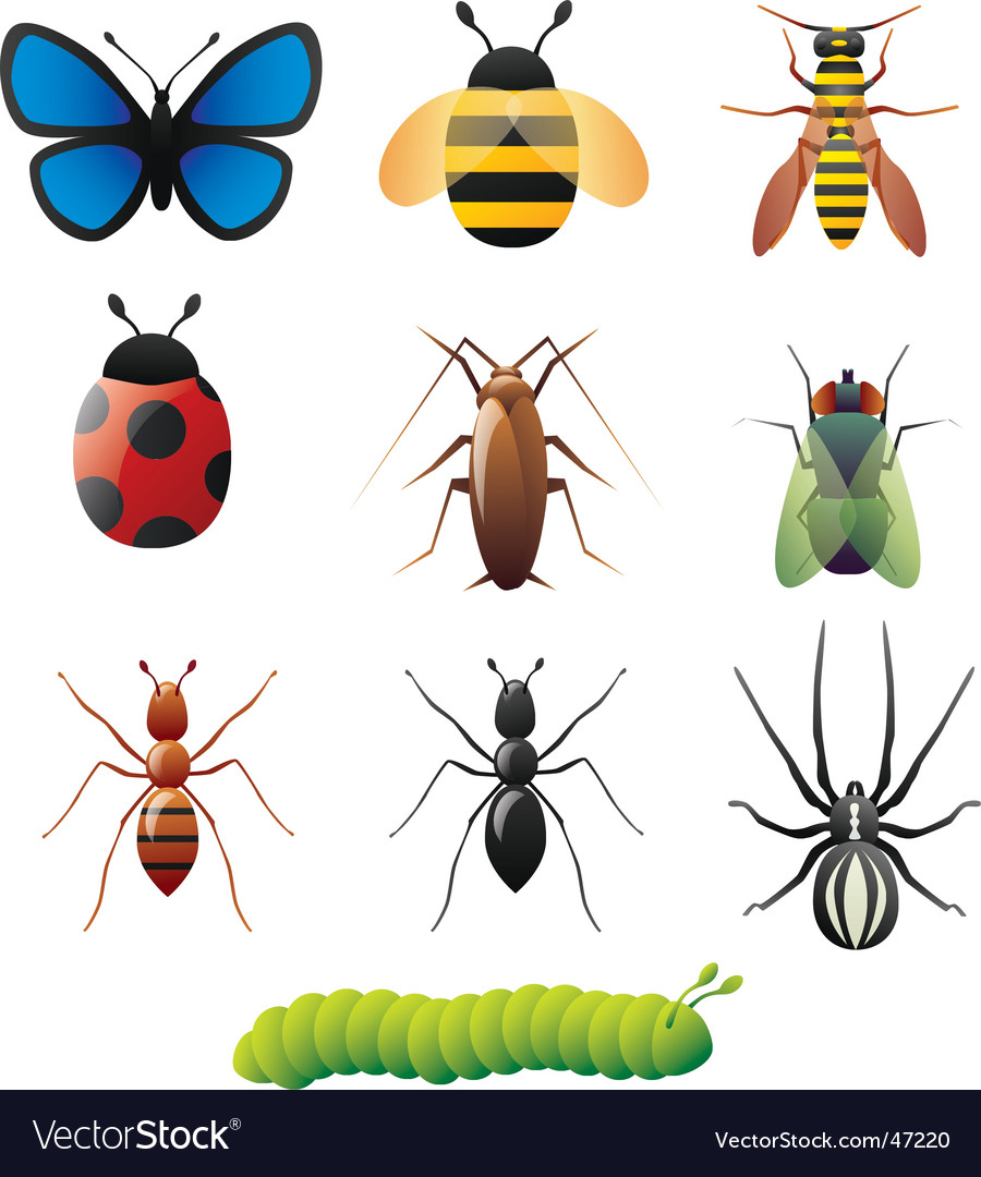 Simple insect designs Royalty Free Vector Image
