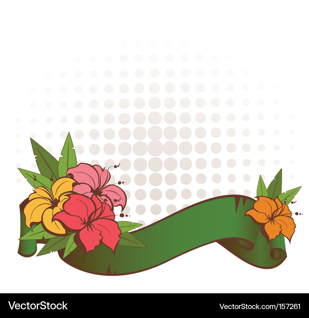 Hibiscus banner Royalty Free Vector Image - VectorStock