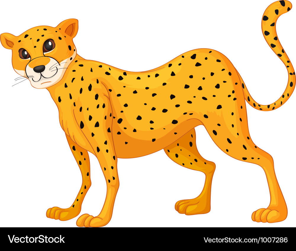 Cartoon Cheetah Royalty Free Vector Image - VectorStock