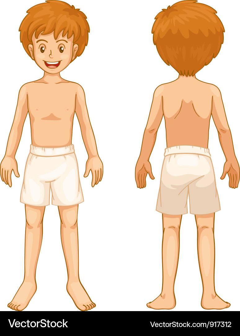 Boy body parts Royalty Free Vector Image - VectorStock