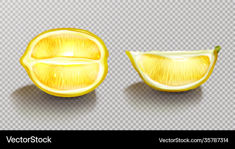 Lemon sliced citrus with shadow realistic Vector Image