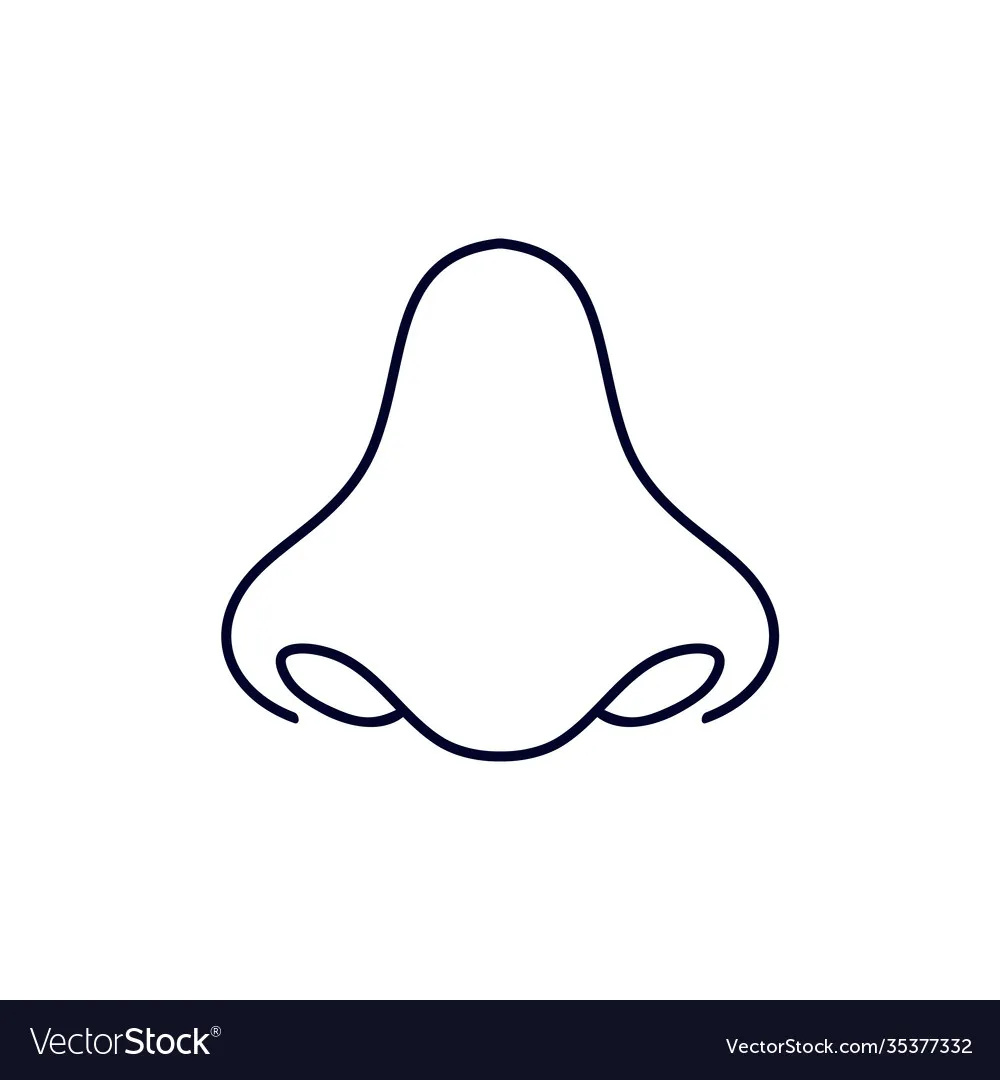 Nose Logo View Of The “Siren” Logo Of Starbucks Coffeehouse