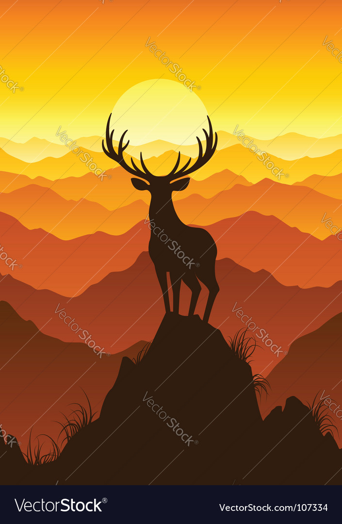 Deer at sunset Royalty Free Vector Image - VectorStock