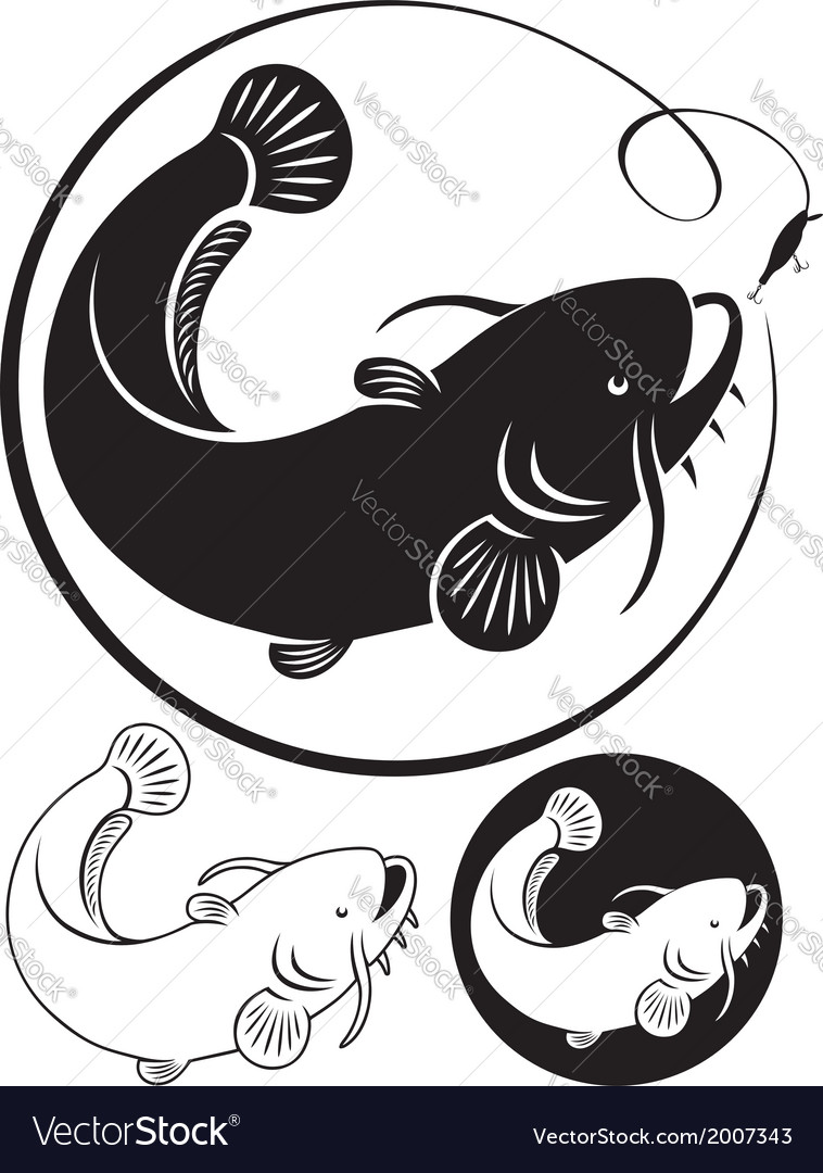 Catfish Royalty Free Vector Image - VectorStock