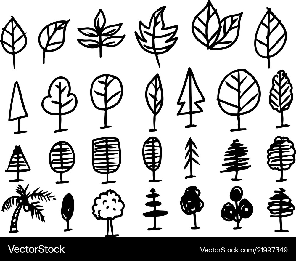 Hand draw leaf icon Royalty Free Vector Image - VectorStock