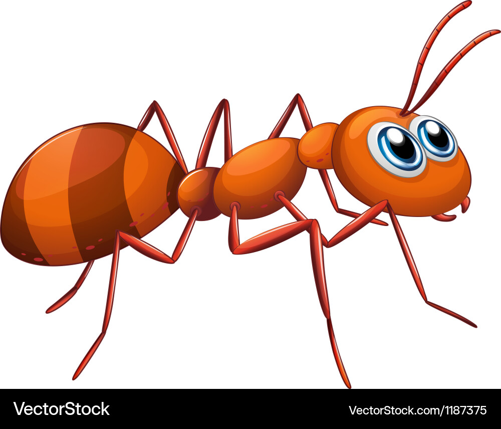 An ant Royalty Free Vector Image - VectorStock