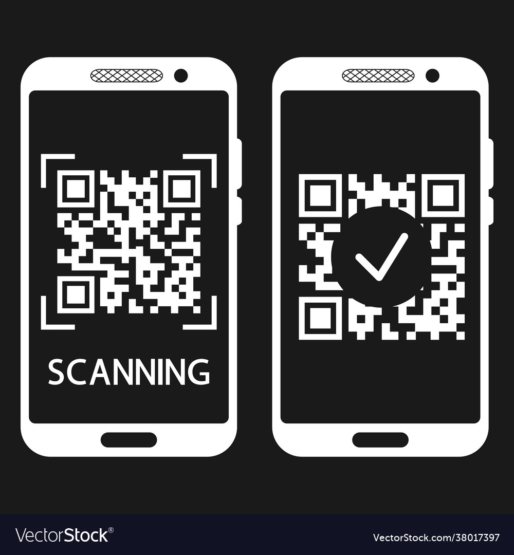 Scan qr code with mobile phone qr code scans Vector Image