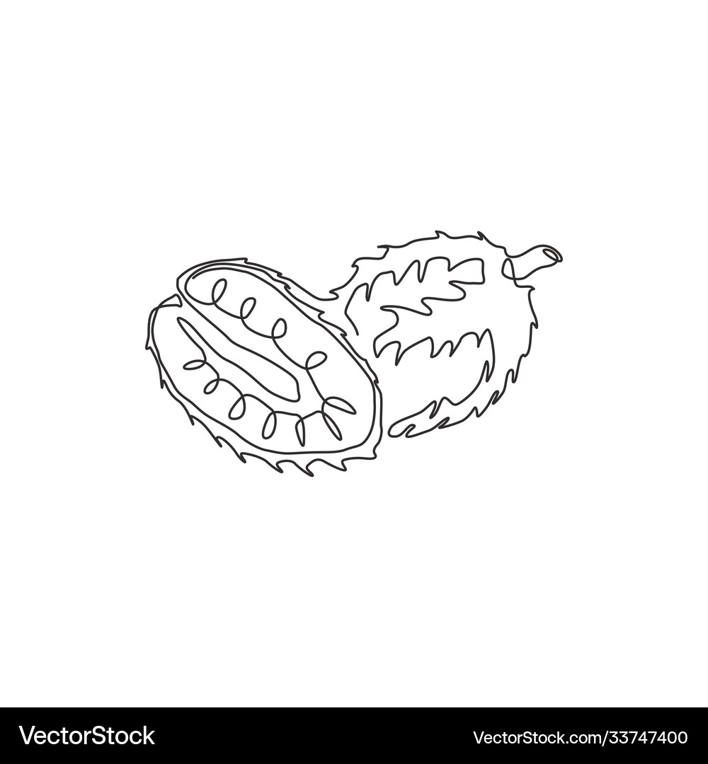 One continuous line drawing whole and sliced Vector Image