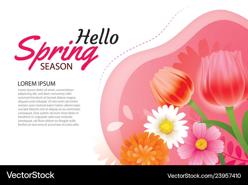 Hello spring greeting card and invitation Vector Image