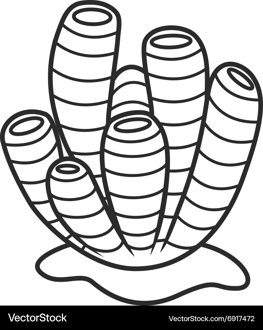 Sea sponges Royalty Free Vector Image - VectorStock