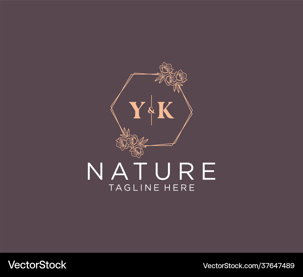 Initial yk letters floral frames botanical Vector Image