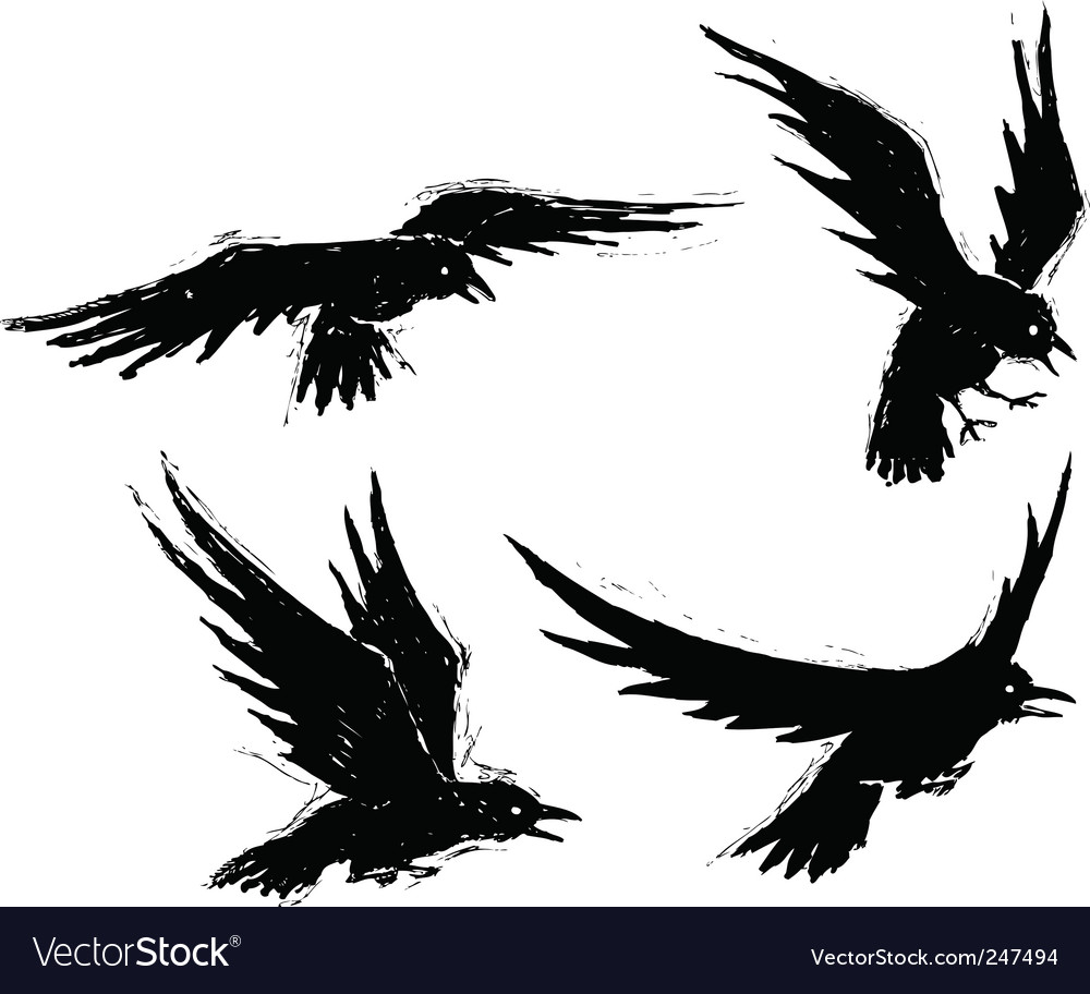 Grunge crows Royalty Free Vector Image - VectorStock