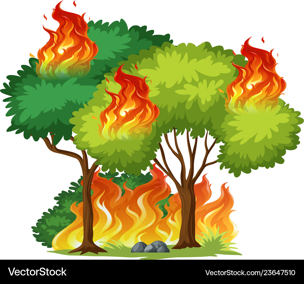 Isolated tree on fire Royalty Free Vector Image