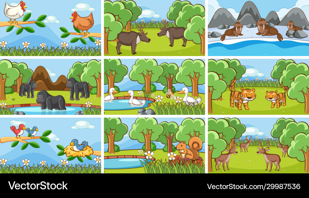 Background scenes animals in wild Royalty Free Vector Image