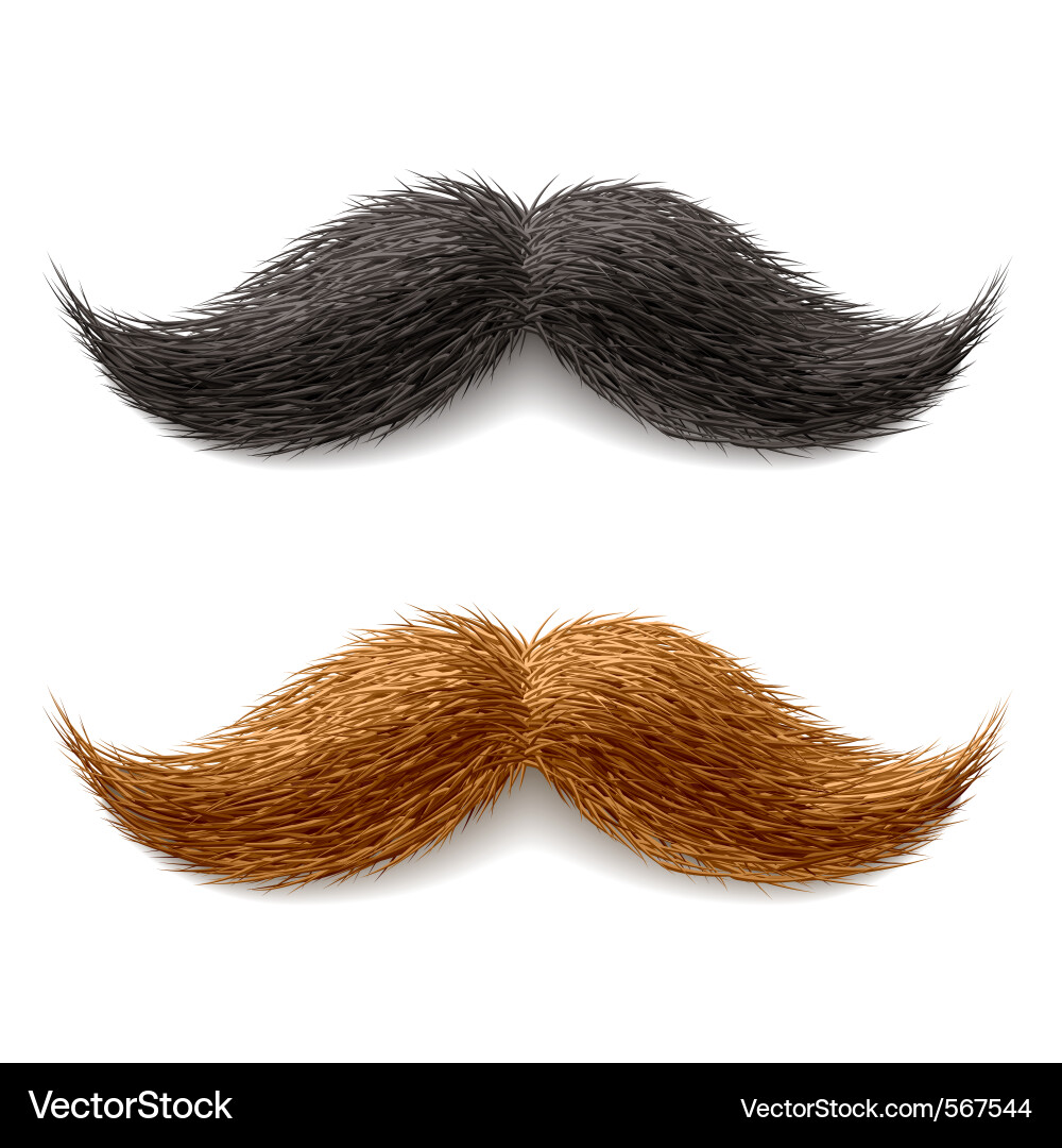 Fake mustaches Royalty Free Vector Image - VectorStock