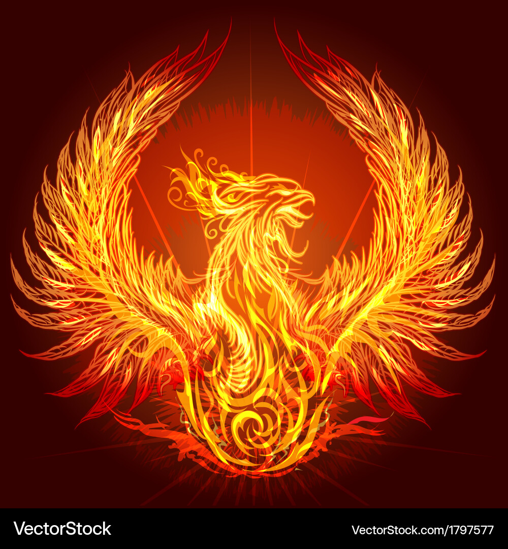 The Phoenix Royalty Free Vector Image - VectorStock