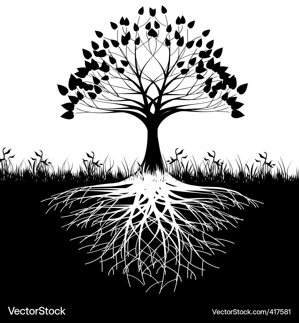 Tree roots silhouette Royalty Free Vector Image