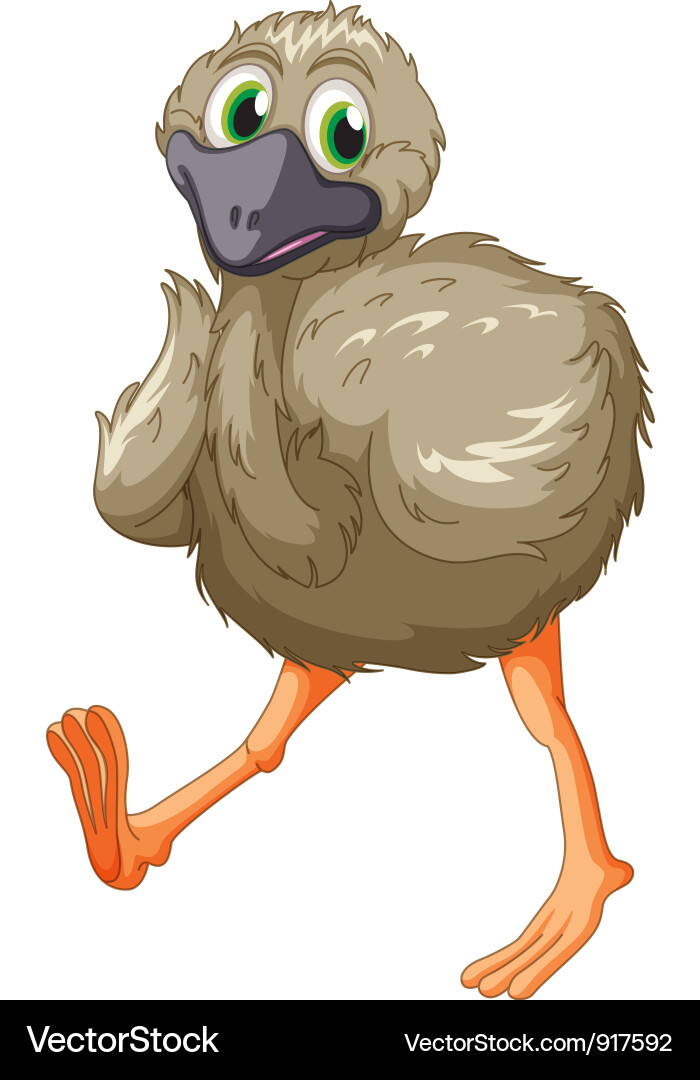 Emu cartoon Royalty Free Vector Image - VectorStock