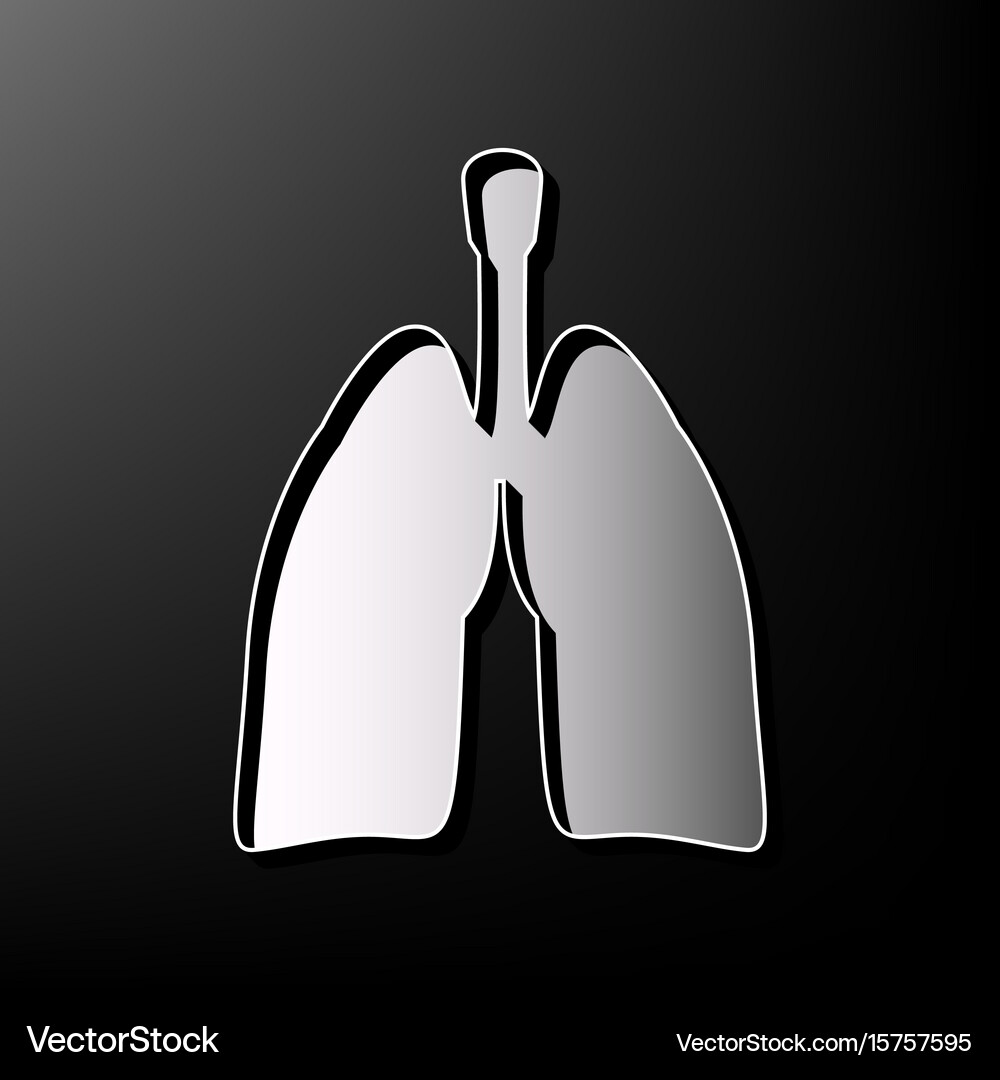 Human anatomy lungs sign gray 3d printed Vector Image