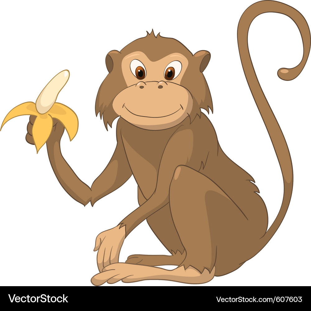 Monkey cartoon Royalty Free Vector Image - VectorStock