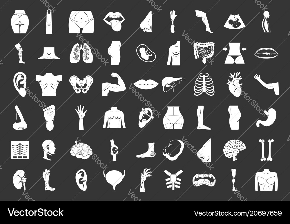Human body icon set grey Royalty Free Vector Image