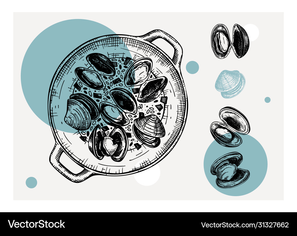 Cooked clam shells in pot shellfish and seafood r Vector Image