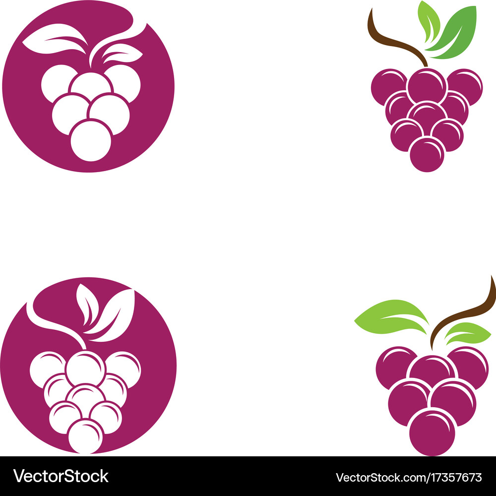 Bunch wine grapes with leaf icon for food apps Vector Image
