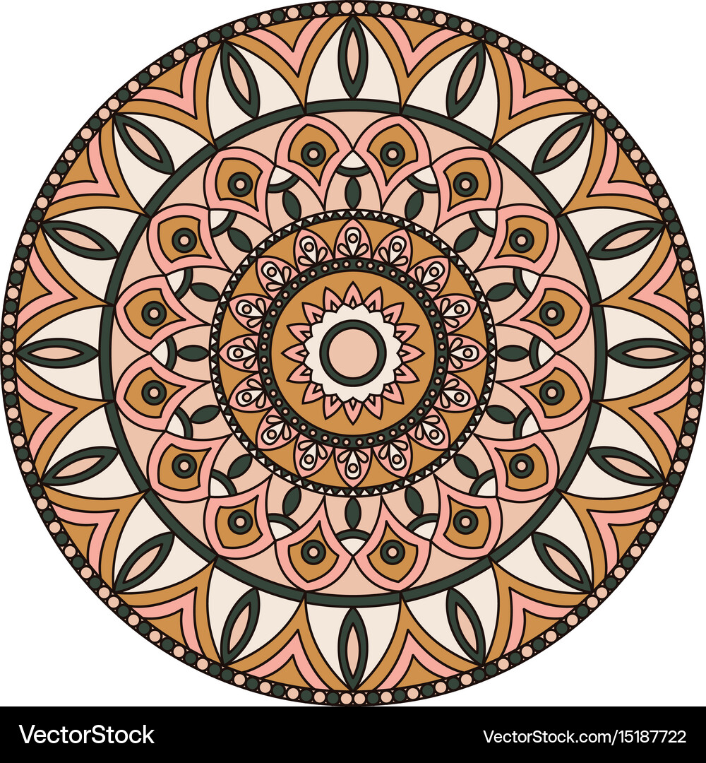 Round mandalas in graphic template Royalty Free Vector Image