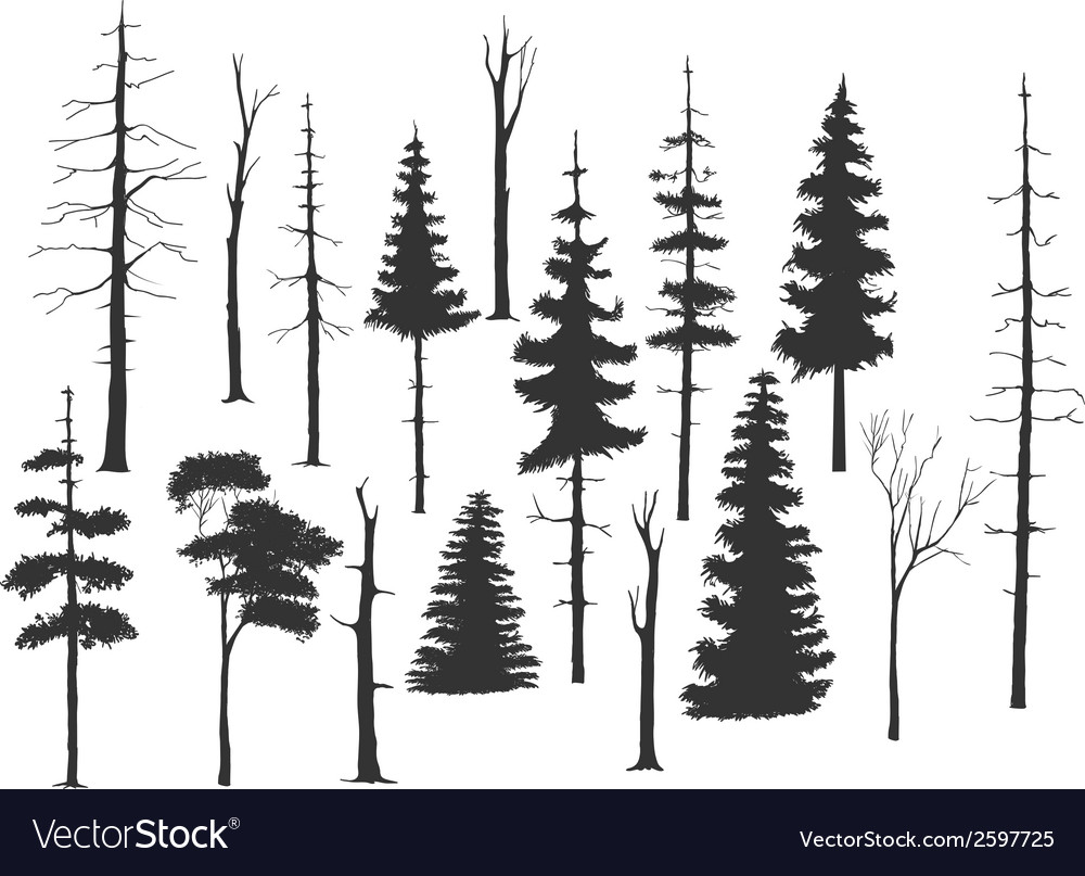 Set of the pine tree Royalty Free Vector Image