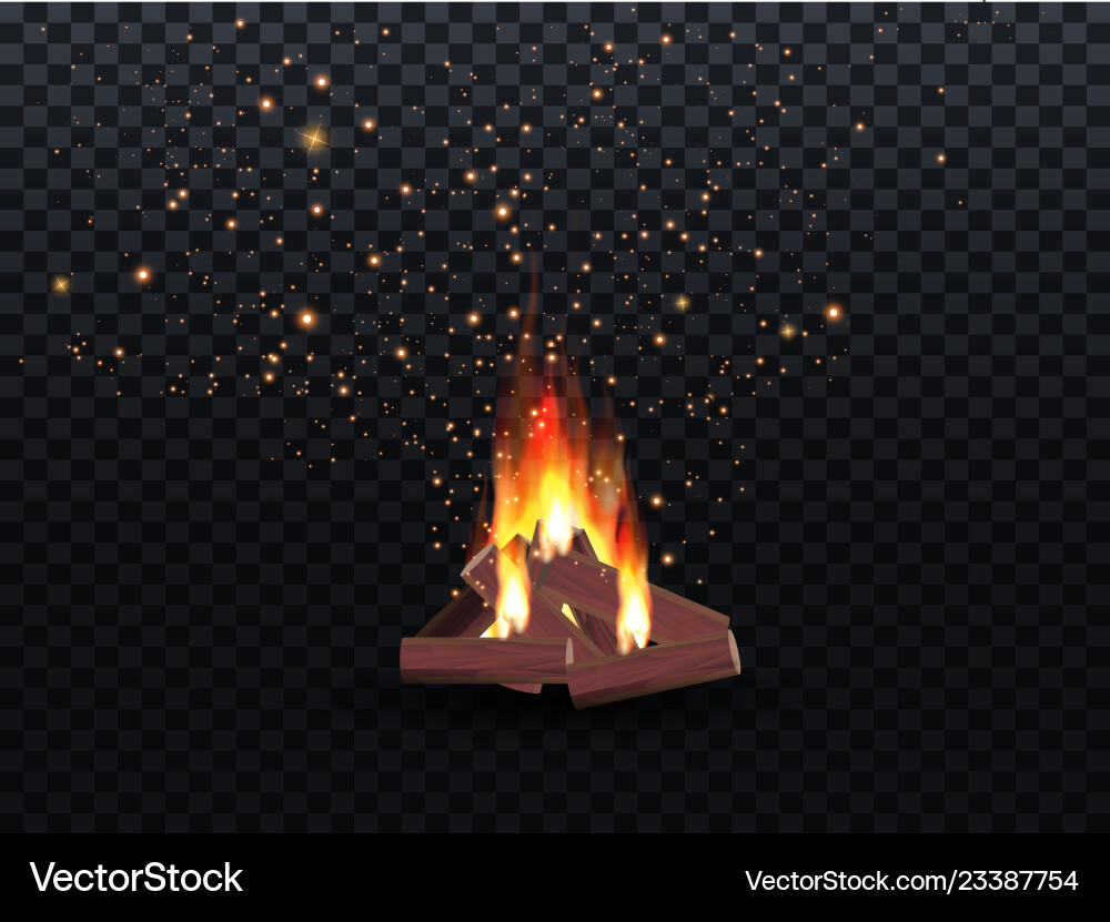 Blazing bonfire inferno fire Royalty Free Vector Image