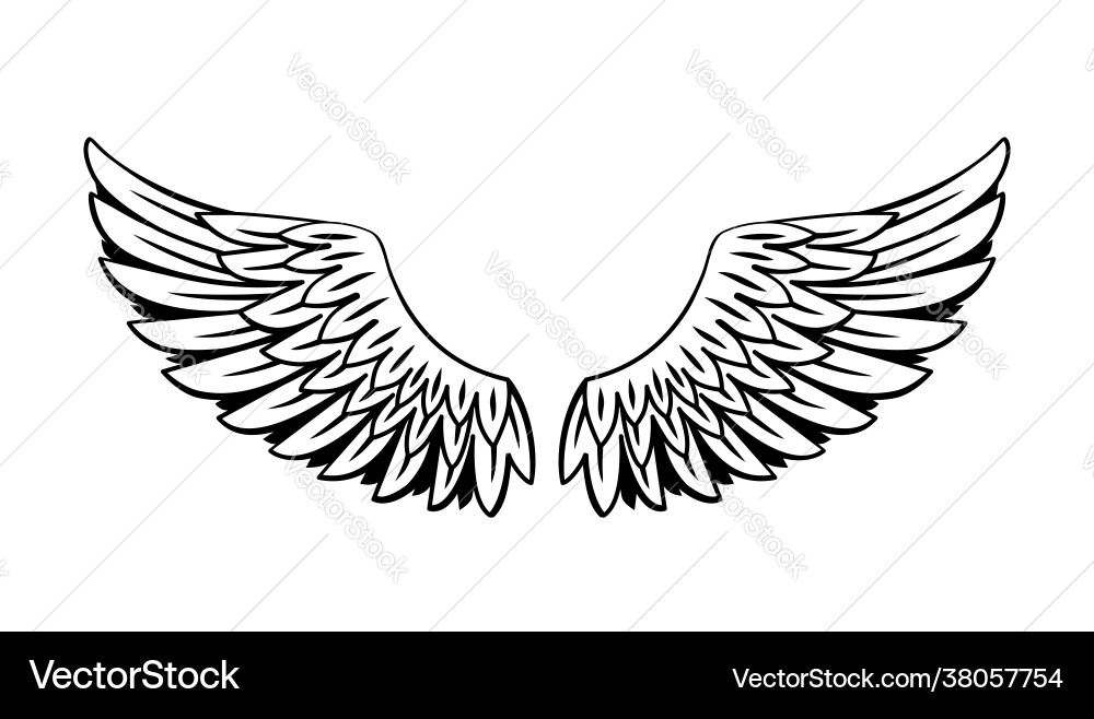 Wings design drawings line Royalty Free Vector Image