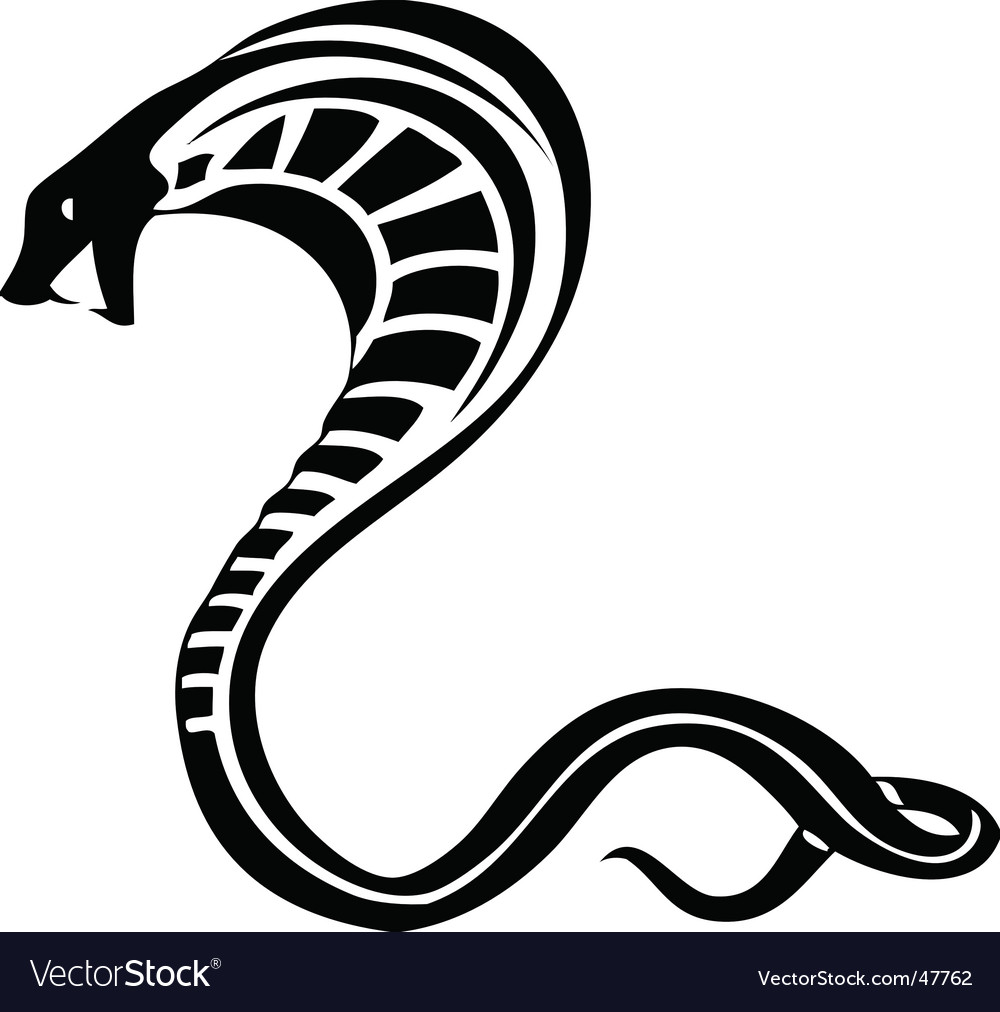 Cobra Vector Image by HAKAKATb - Image #47762 - VectorStock