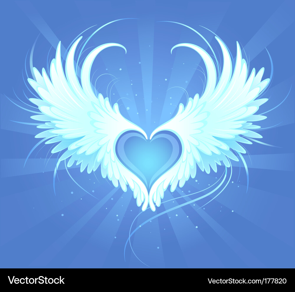 Angel's heart Royalty Free Vector Image - VectorStock