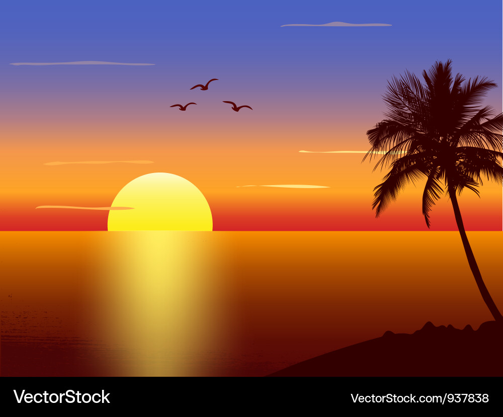 Sunset with palmtree silhouette Royalty Free Vector Image