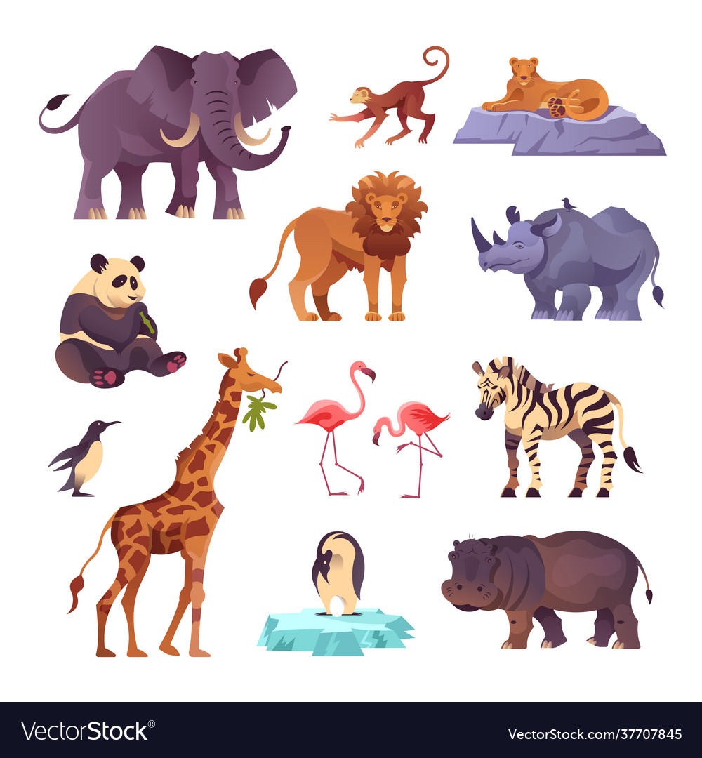 Zoo animals set Royalty Free Vector Image - VectorStock