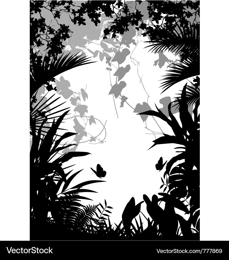 Jungle Royalty Free Vector Image - VectorStock