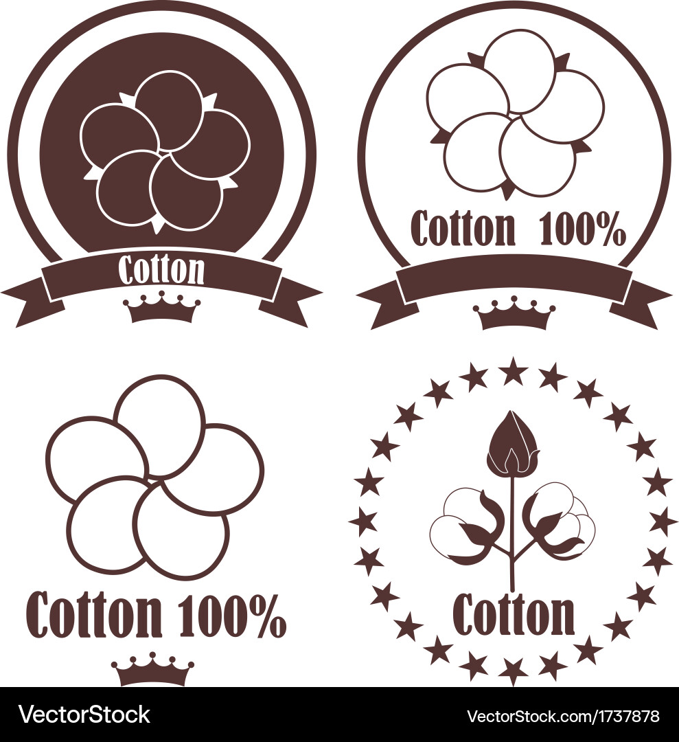 Cotton Royalty Free Vector Image - VectorStock