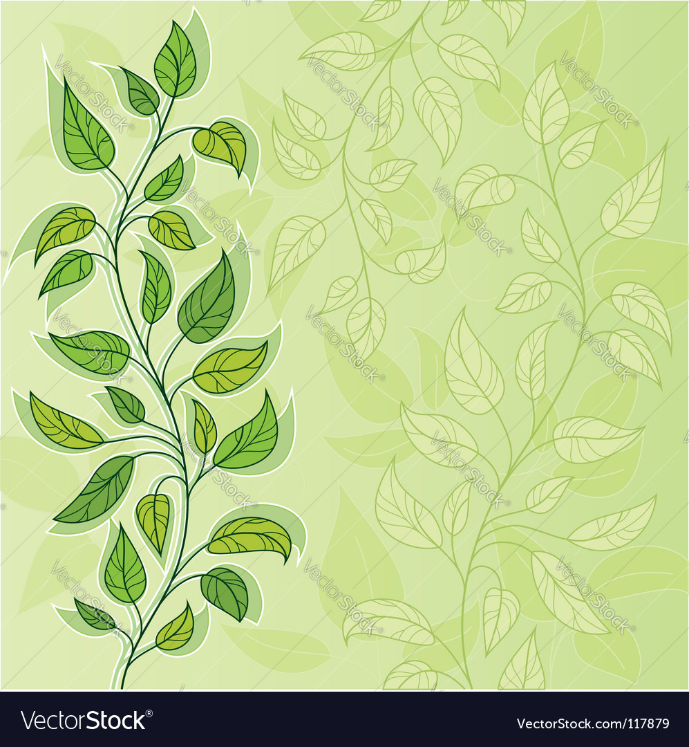 Leaf background Royalty Free Vector Image - VectorStock
