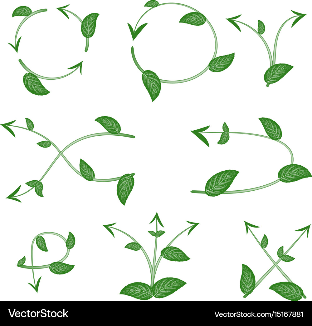Set of ecological leaf arrow on white background Royalty Free Vector ...