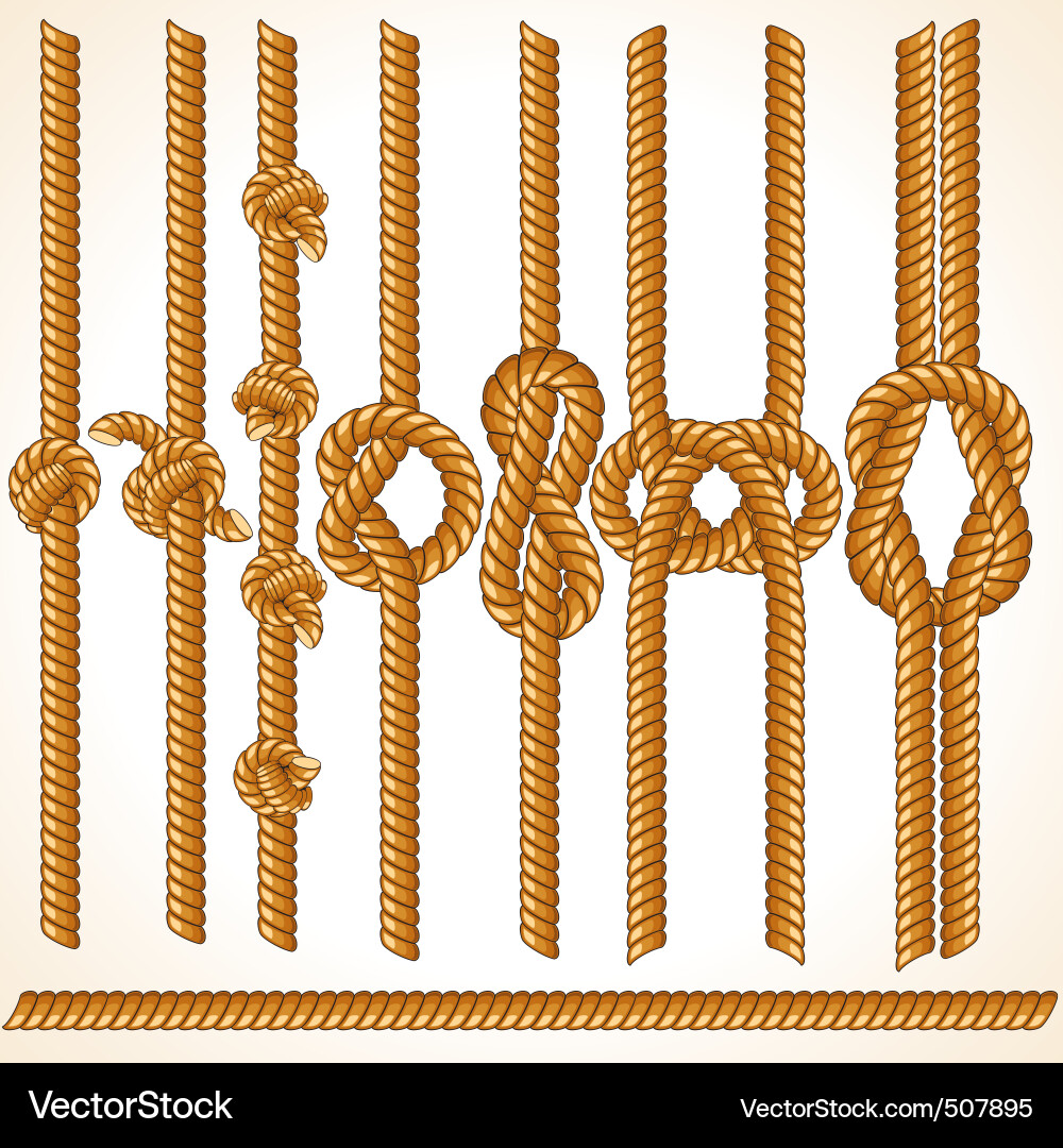 Seamless rope elements Royalty Free Vector Image