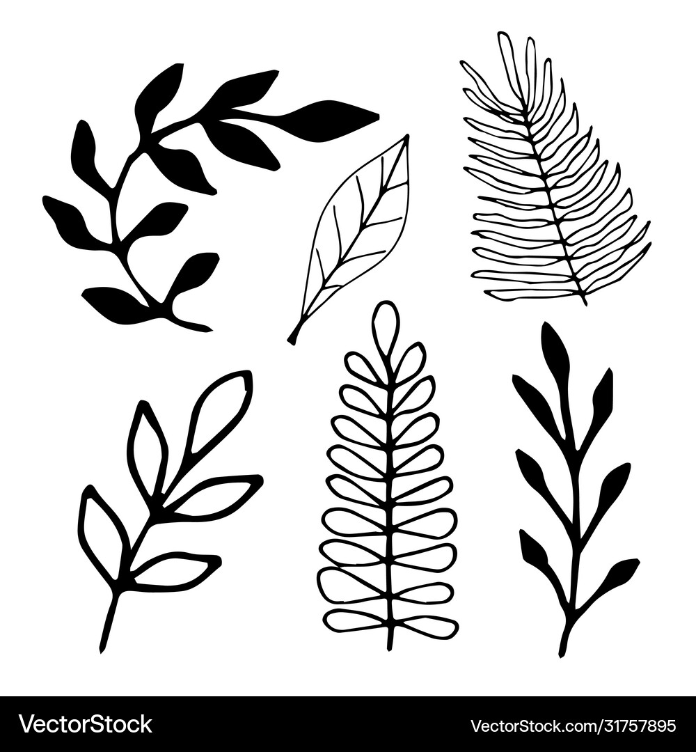 Black leaves and twigs Royalty Free Vector Image
