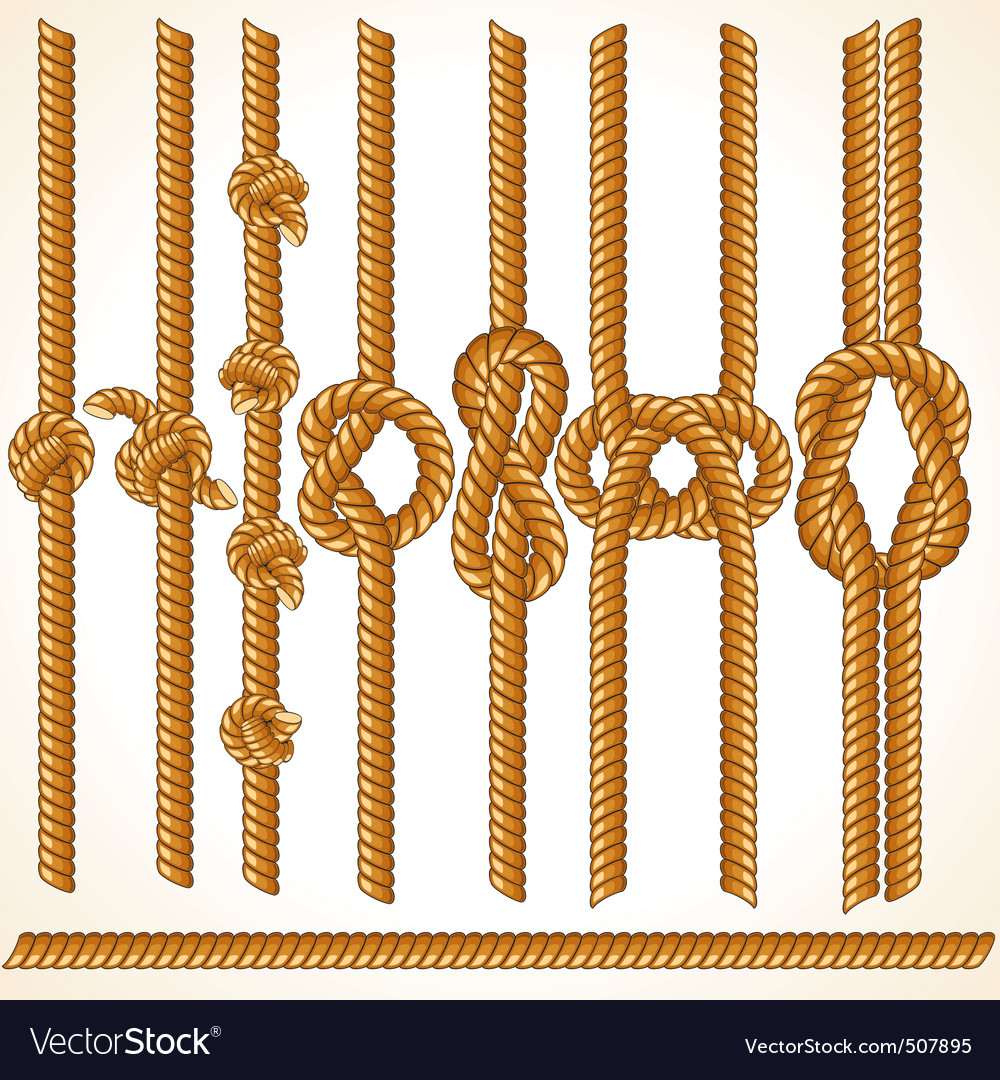 Seamless rope elements Royalty Free Vector Image Seamless rope elements Royalty Free Vector Image